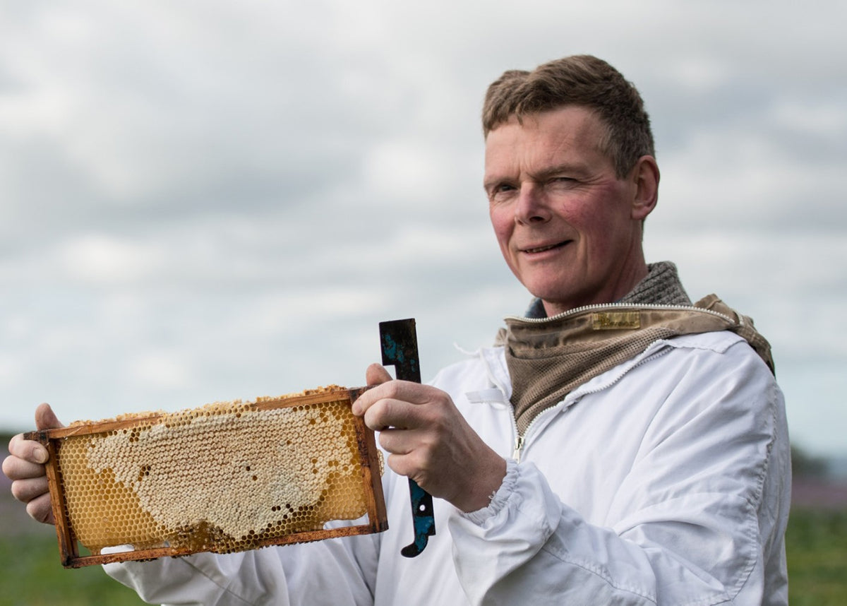 Getting ready for spring - beekeeping in the Cotswolds – Fosse Way ...